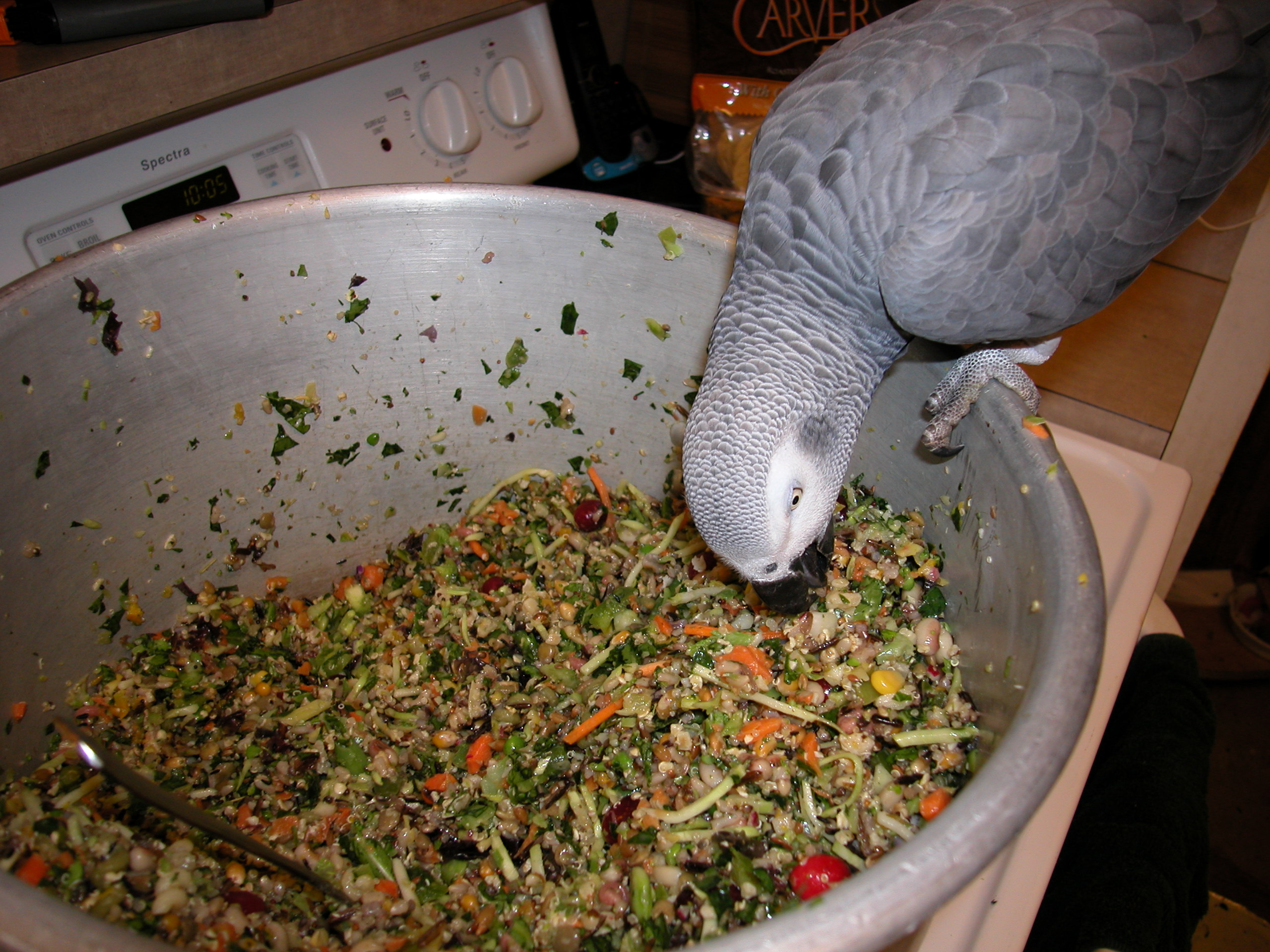 The Chop Blog – Parrot Nation