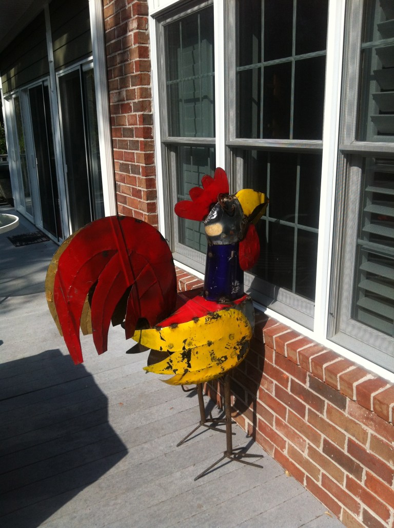 The One With the Rooster – Parrot Nation