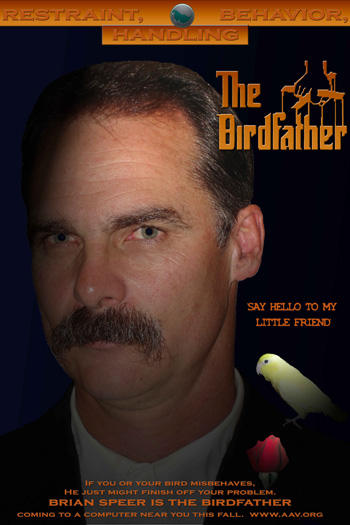 Avian Studios Latest DVD: A Review – Parrot Nation