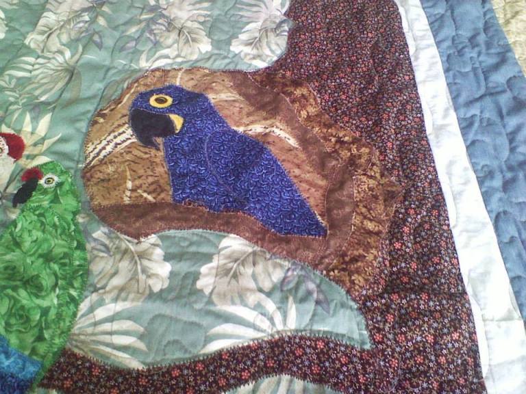 In Stitches – Parrot Nation